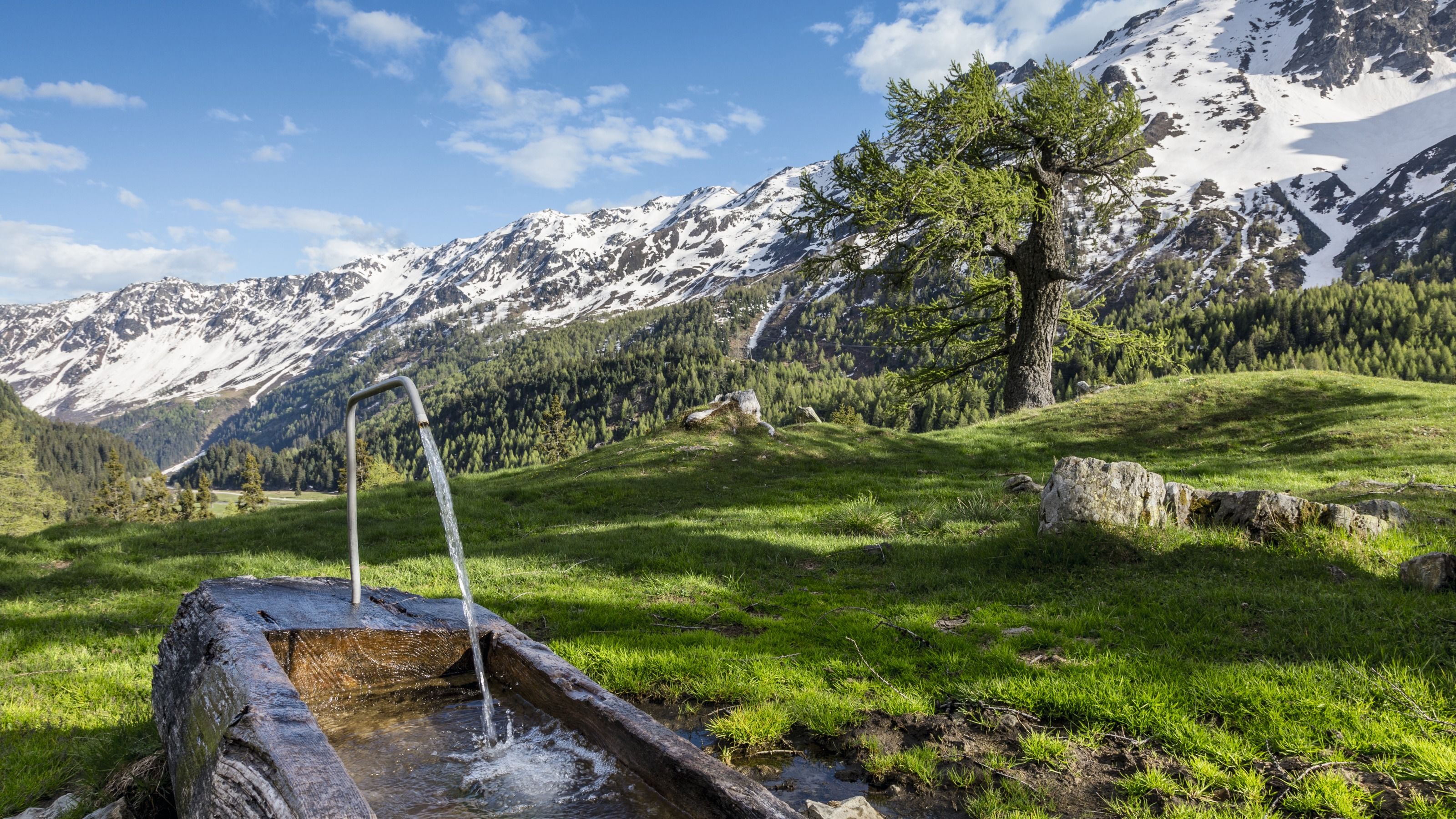 Carì | Schweiz Tourismus